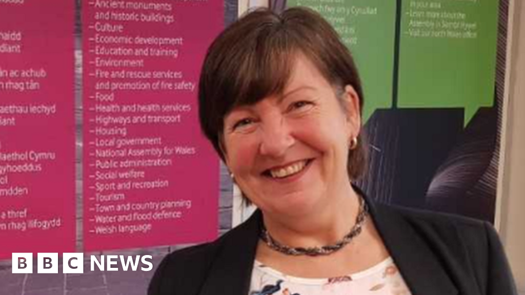 New AM Mandy Jones does not want to be in UKIP group - BBC News