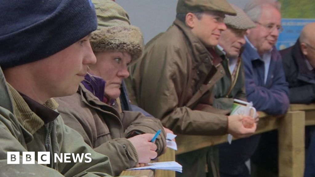 Exmoor farmers ponder future outside Europe - BBC News