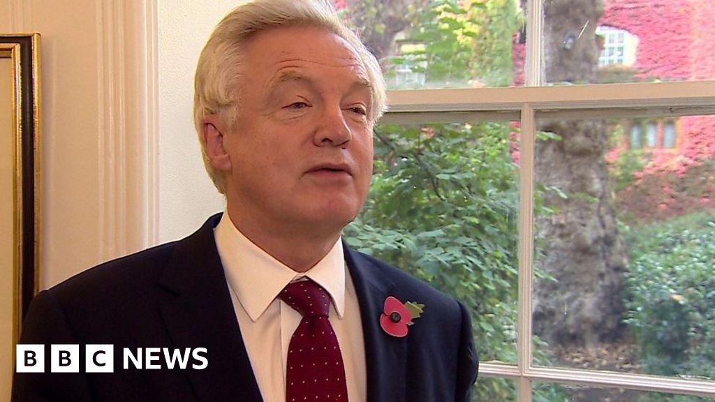 David Davis: We're appealing Brexit ruling - BBC News