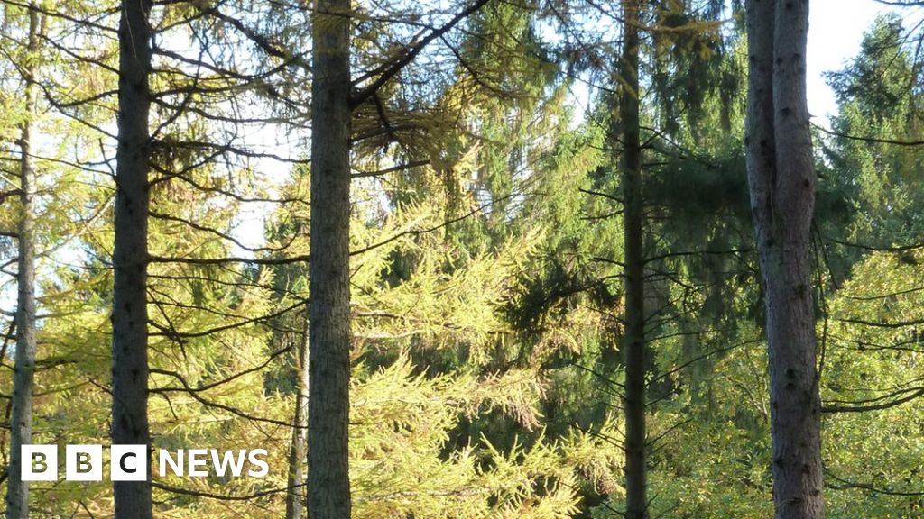 Gloucestershire beauty spot's future uncertain due to flood risk - BBC News