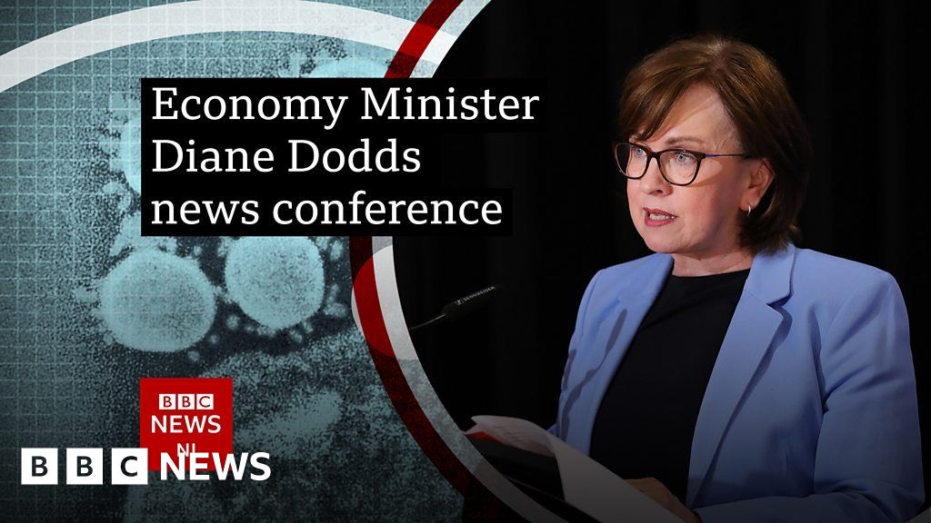 NI Economy Minister Diane Dodds holding press conference - BBC News