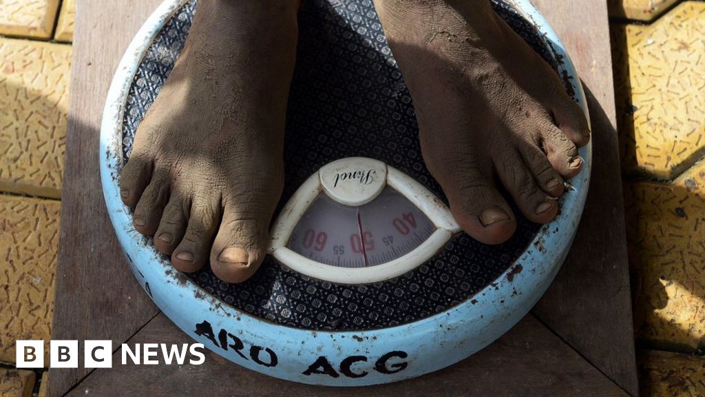 Tonga: Nearly all public servants 'are obese' - BBC News