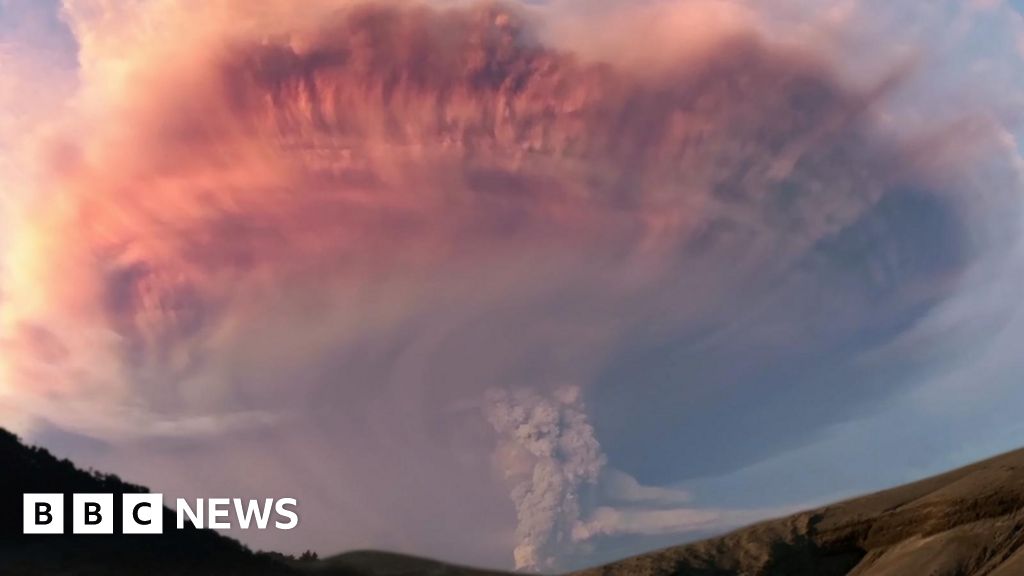 BBC Trust: Nature documentaries broke accuracy rules - BBC News