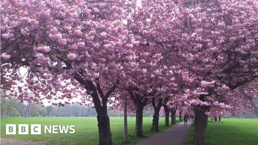 Your pictures of Scotland: 28 April - 5 May - BBC News