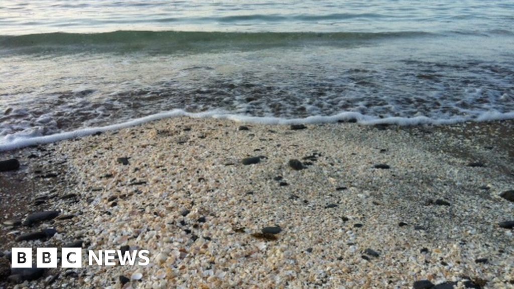 New Quay shellfish waste dumping licence granted - BBC News