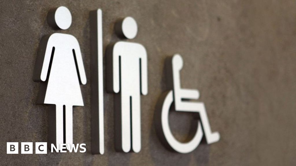 Aberystwyth public toilet's 20p charge to maintain loos - BBC News