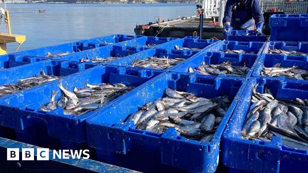 Isle of Man fishermen welcome return of herring catch - BBC News