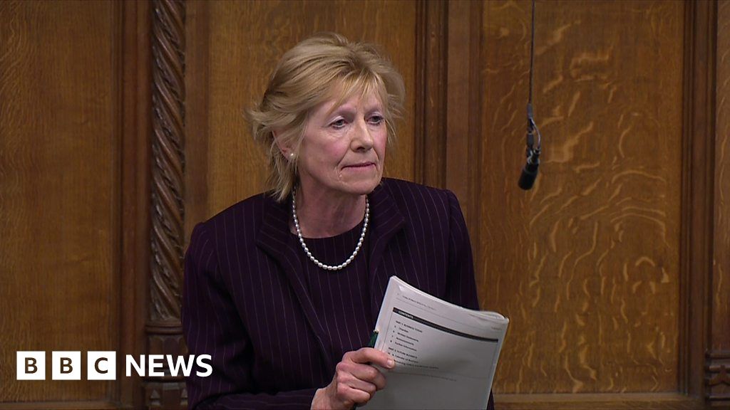 Lady Sylvia Hermon: 'DUP do not speak for the NI majority' - BBC News