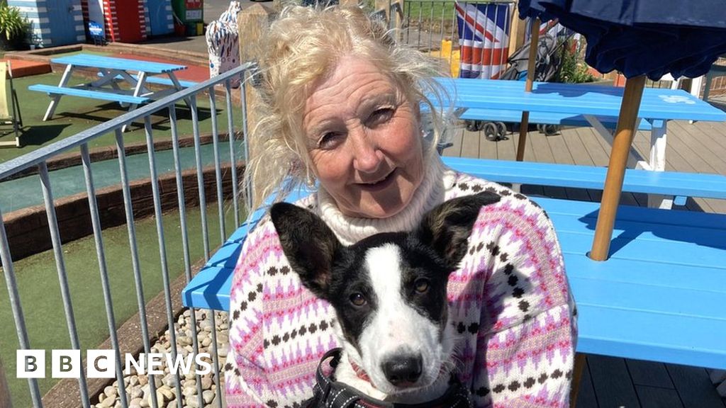 Minehead beach open to dogs this summer after ban expires - BBC News