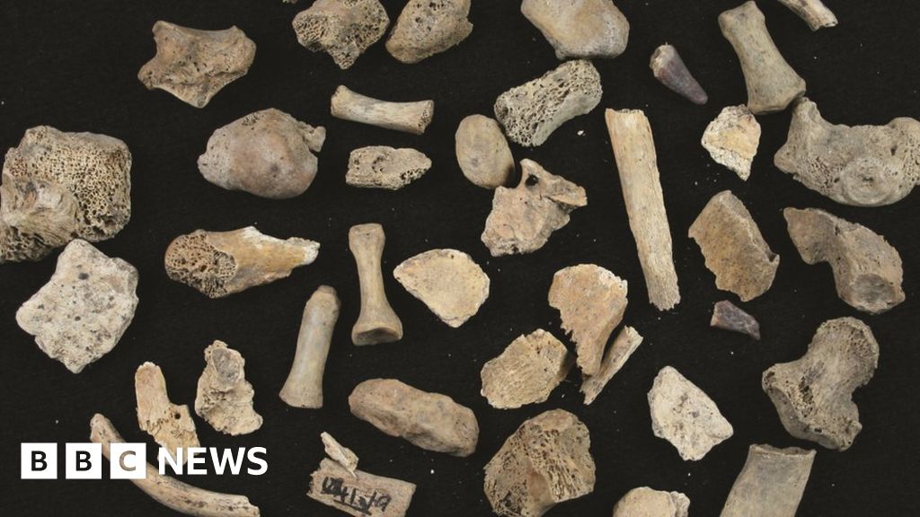 The archaeologists sorting out Orkney's Neolithic bones - BBC News