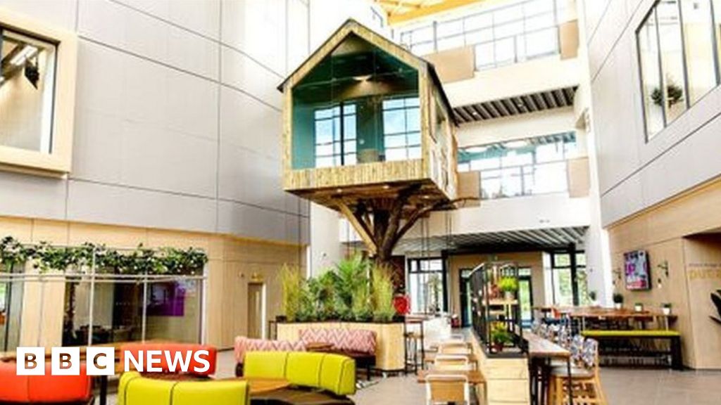 £15m Moneypenny Wrexham office with treehouse and pub opens - BBC News