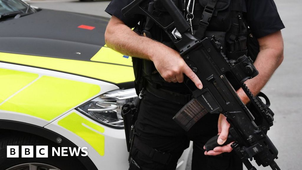 How do terrorism threat levels work? - BBC News