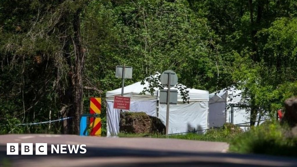 Body in suitcases: Gareeca Gordon to face murder trial - BBC News