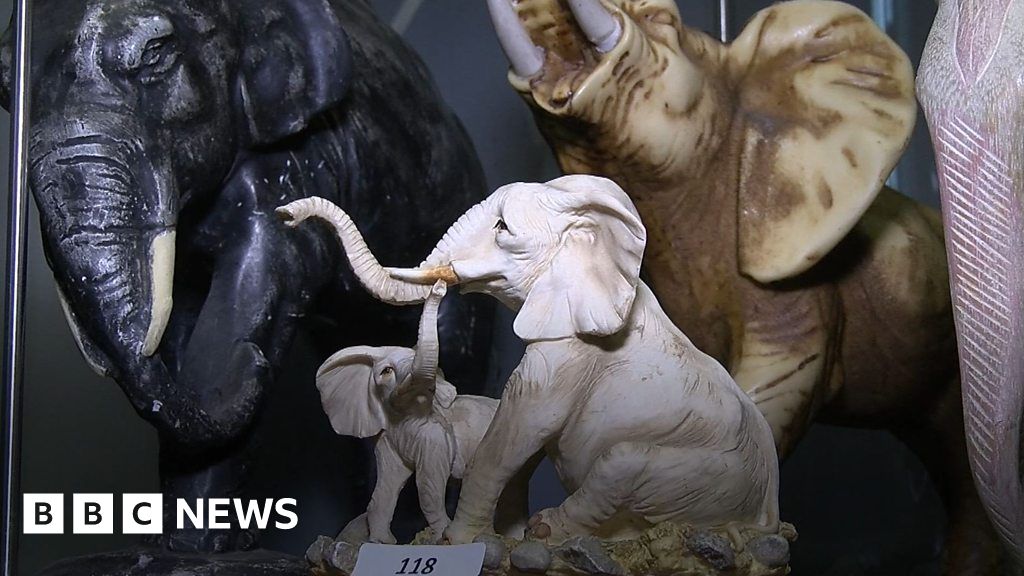 Mammoth collection of 6,000 model elephants auctioned in Hull