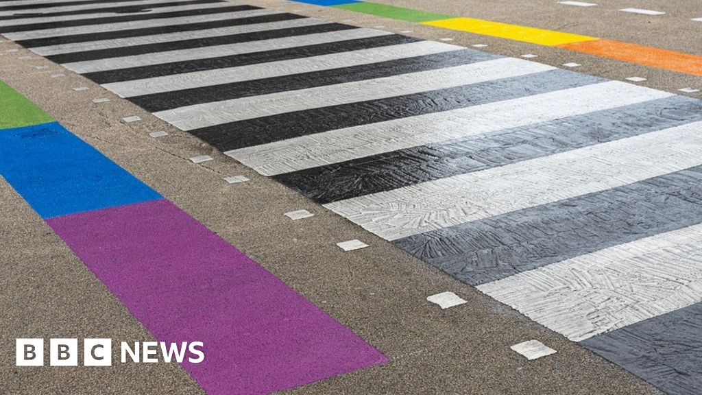 Somerset village votes for rainbow zebra crossing plan