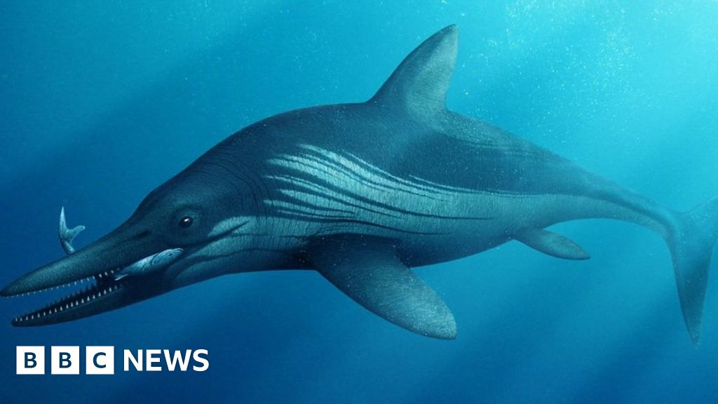 'Sea monster' skull recreated using 3D-printing - BBC News