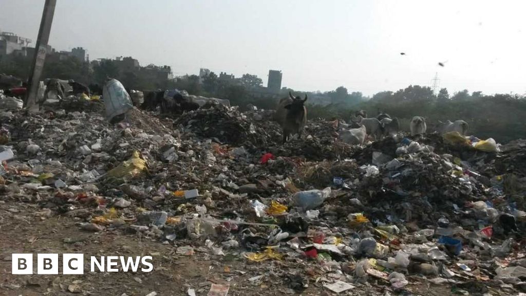 Can an app help clean up the Indian capital - BBC News