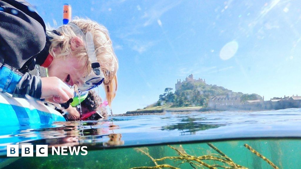 Cornwall Wildlife Trust project to help children explore coast - BBC News