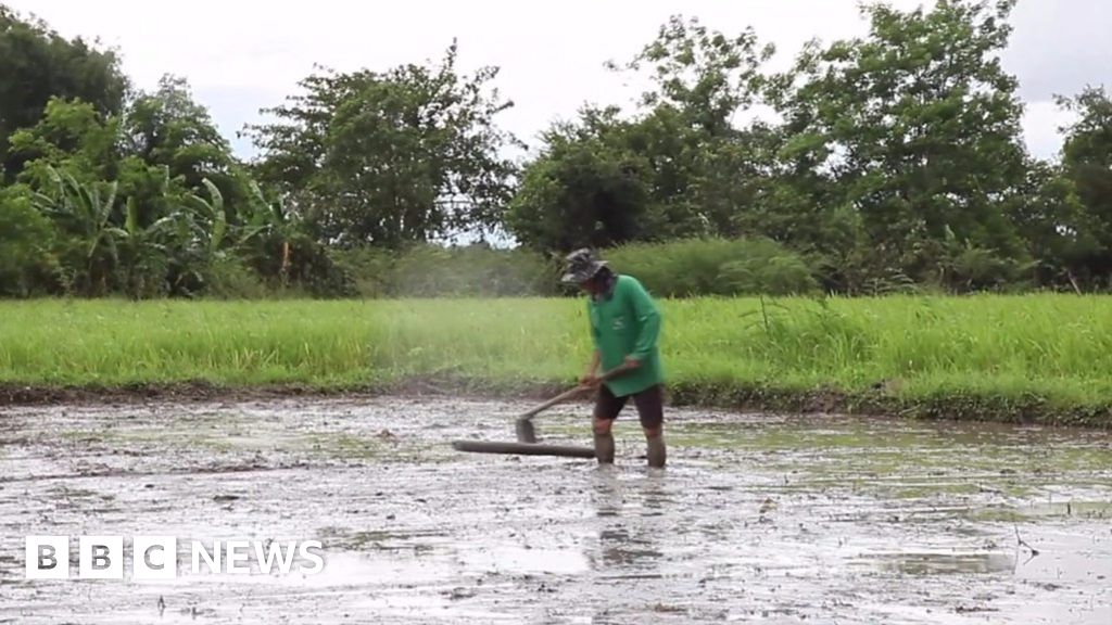 Thailand cave: Flooded farmers support rescue effort