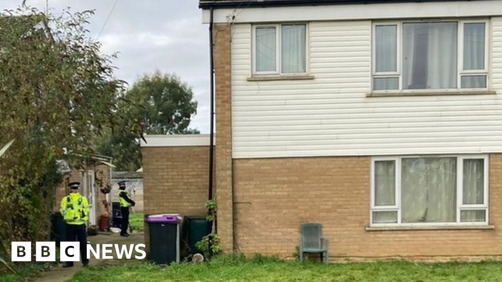 Friskney attempted murder arrest after two boys, 10, stabbed - BBC News