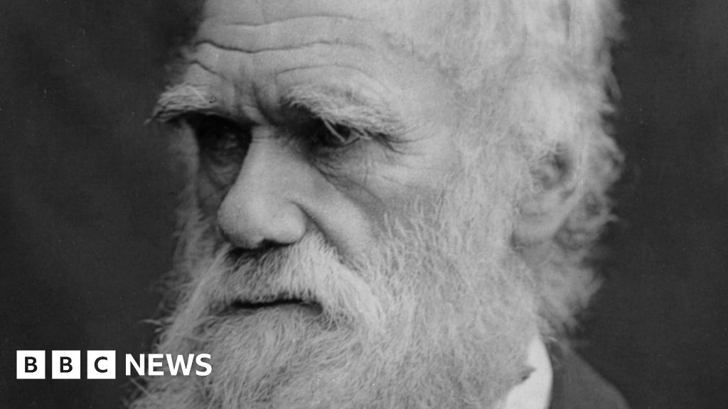 Charles Darwin school musical dropped after complaints - BBC News