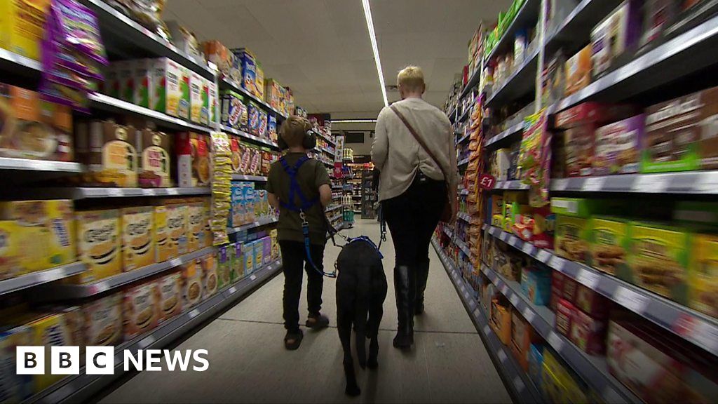 Dogs helping children with autism stay calm