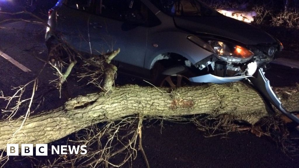 Storm Imogen: Car hits fallen tree in Southampton - BBC News
