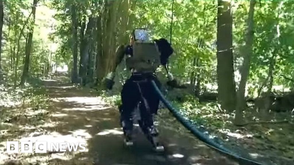Google's Atlas robot takes a forest hike - BBC News