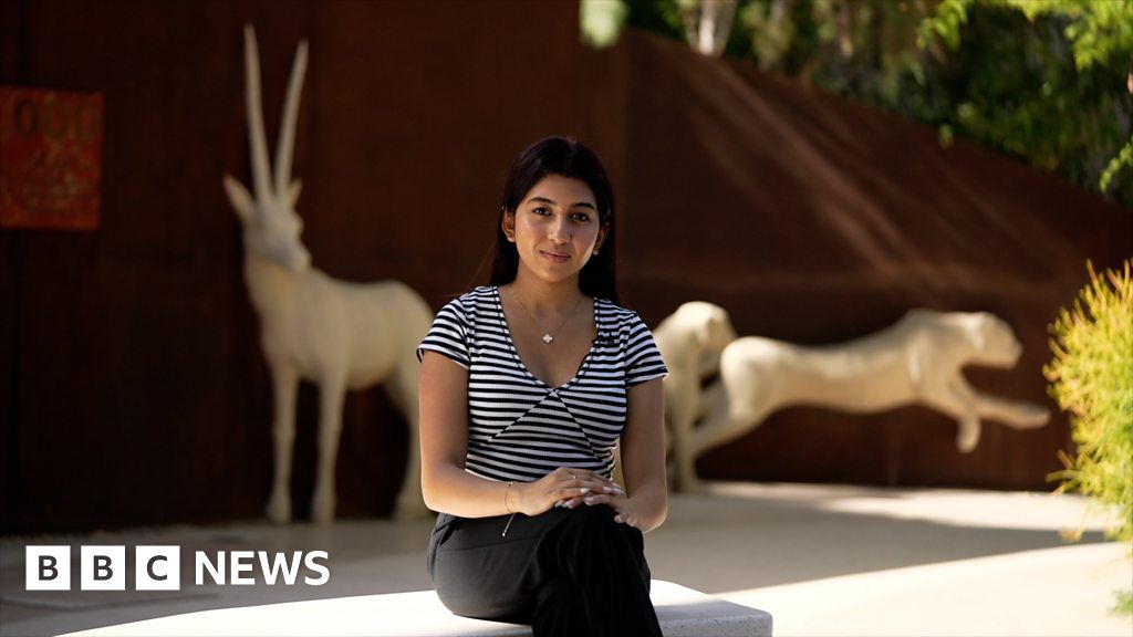 COP28: 'It's essential my voice is heard in this space' - BBC News