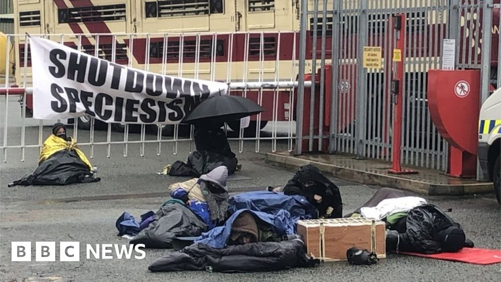 Arrests after activists bring Ashton-under-Lyne slaughterhouse to ...