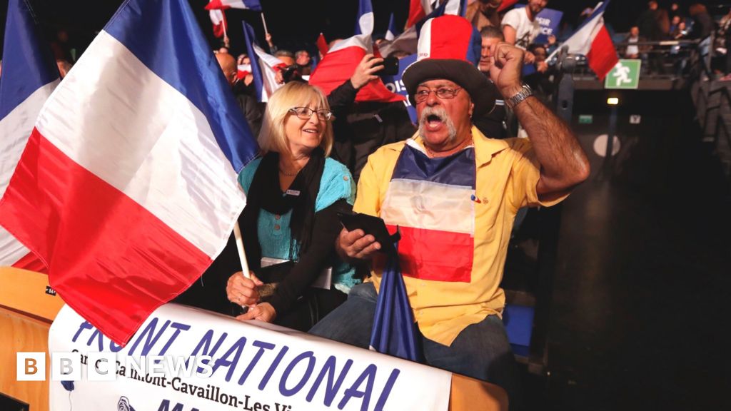 France election: New far right leader quits in Holocaust row - BBC News