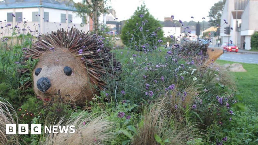 Truro's hedgehog roundabout named best in UK - BBC News