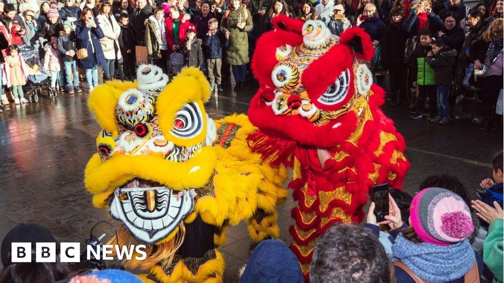 Lion dance chinese new year store