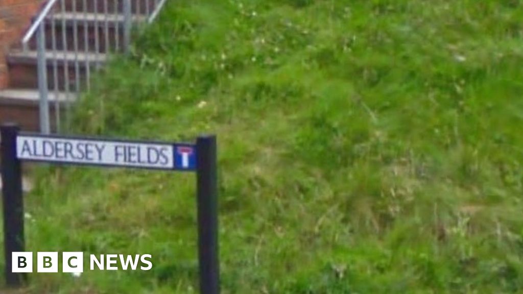 Murder arrests after woman stabbed to death in Alton - BBC News