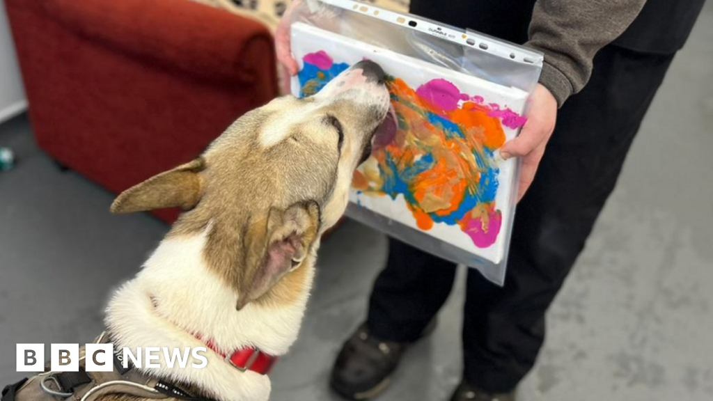 Rescue dogs create 'paw-traits' to fundraise - BBC News
