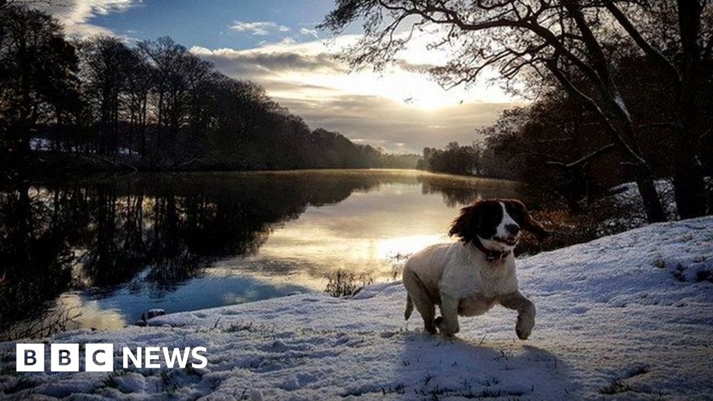 In pictures: NI's weekend in the snow - BBC News