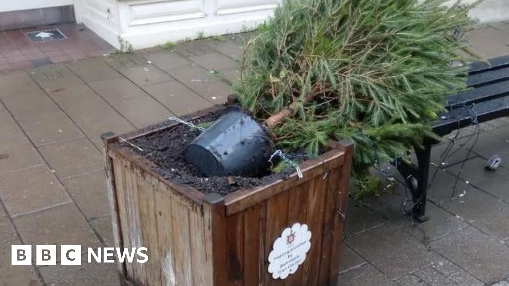 Barnstaple Christmas trees attacked by 'mindless' vandals