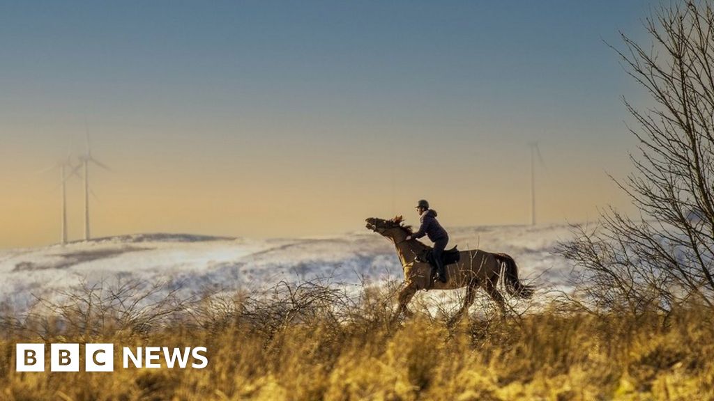 Your pictures of Scotland 22 - 29 January - BBC News