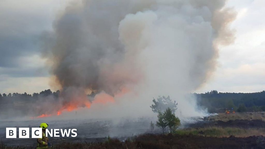 Hankley Common: Crews have been tackling Surrey wildfire - BBC News