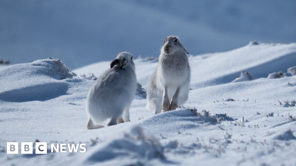 Your pictures of Scotland 6-13 March - BBC News