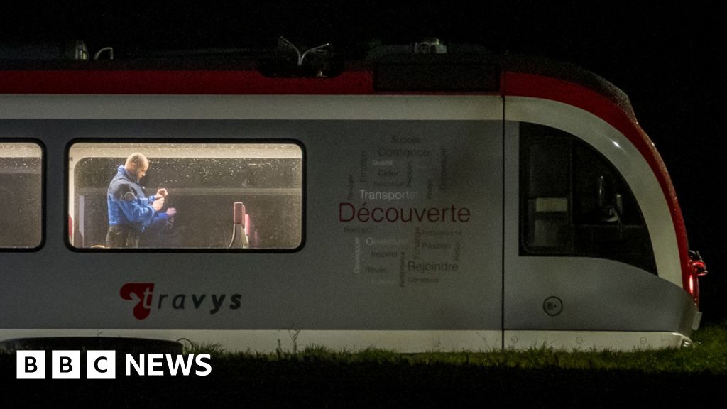 Switzerland: Police shoot dead axe-wielding hostage-taker on train