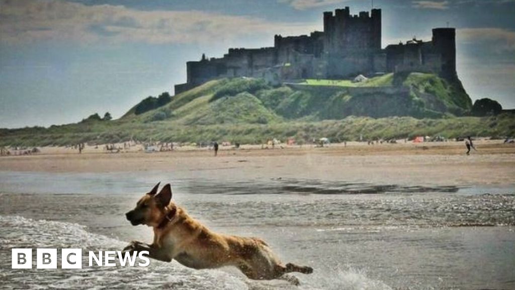 England's Big Picture: The year's most popular images