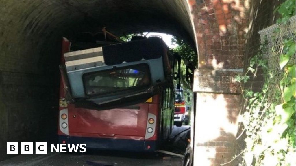 School bus driver pleads guilty over bridge crash