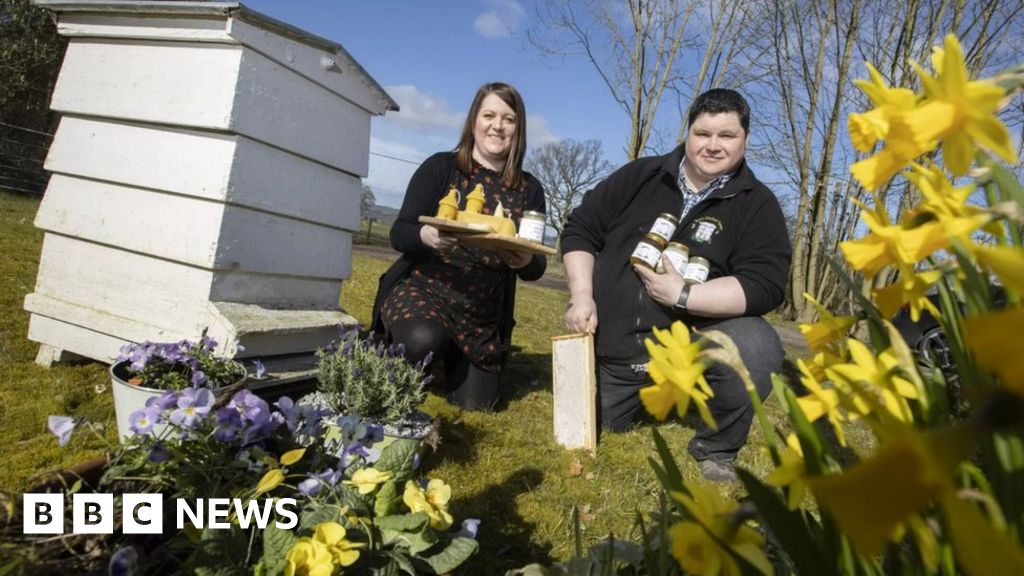County Durham beekeeper lifts lid on living the hive life - BBC News