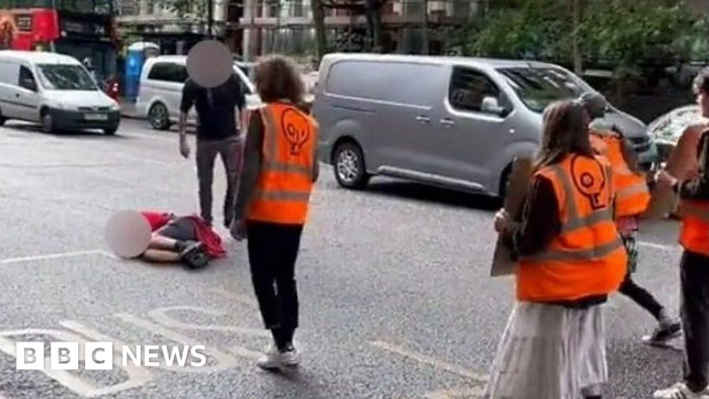 Just Stop Oil protester punched and kicked