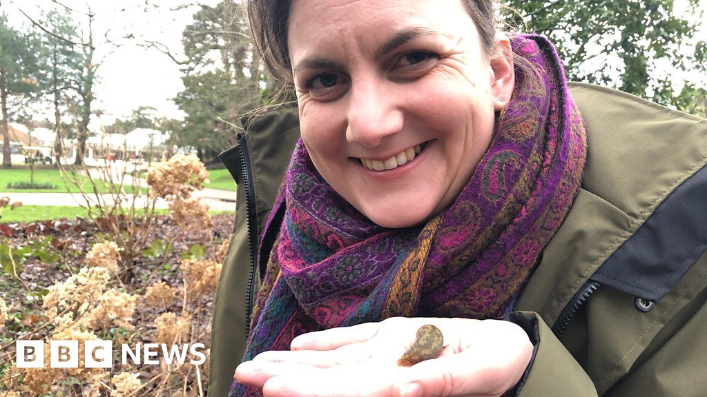 'Slug spotters will help us better understand what is happening' - BBC News