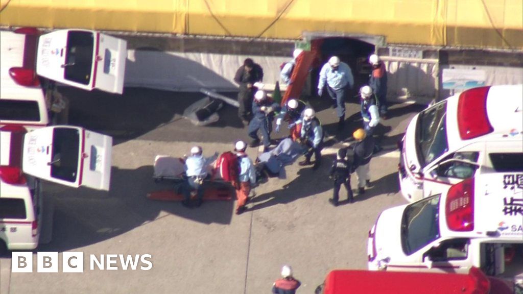 More than 80 injured after Japanese ferry 'hits whale'