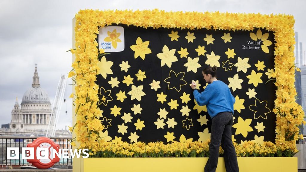 Wall of daffodils to remember lost loved ones on National Day of ...