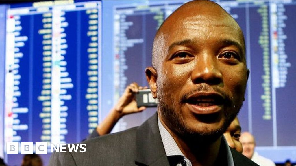 Leader of South Africa's largest opposition party quits