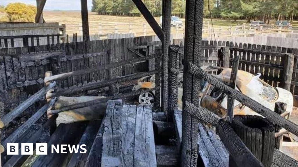 New Forest pony sales yard fire 'shattering' - BBC News